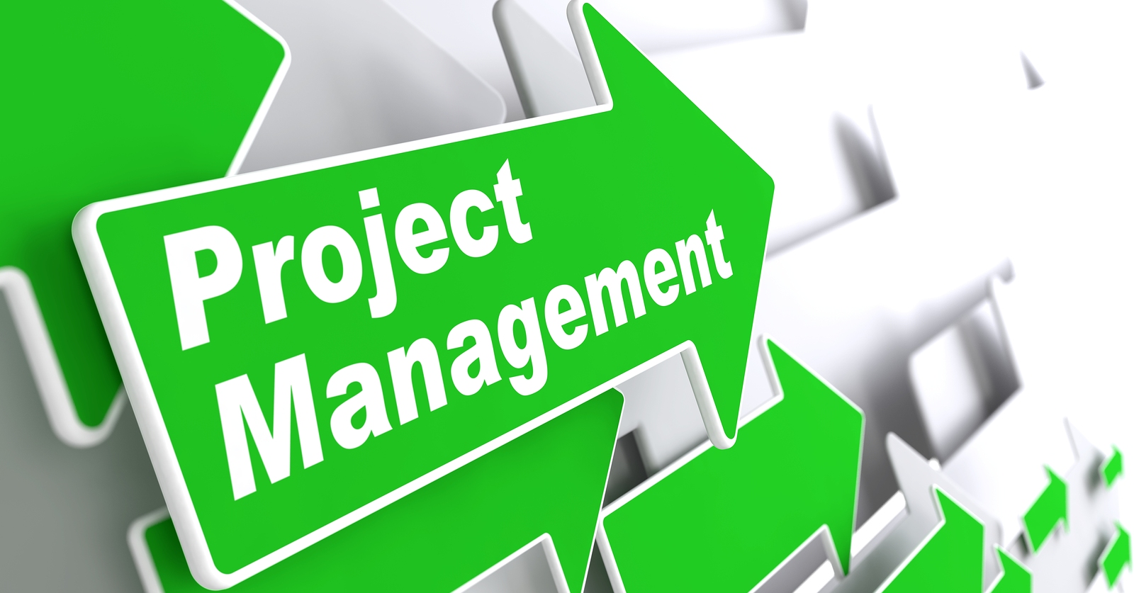 Leading Project Management Services and Training Company